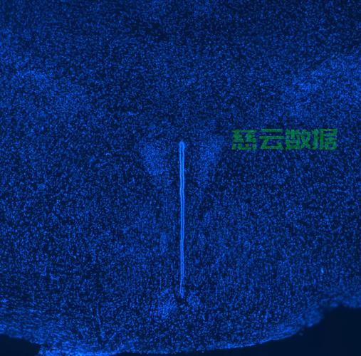 【图像拼接】论文精读：Rectangular-Output Image Stitching（RDISNet） - 技术分享 - 云服务器