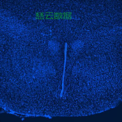 【图像拼接】论文精读：Rectangular-Output Image Stitching（RDISNet） - 技术分享 - 云服务器