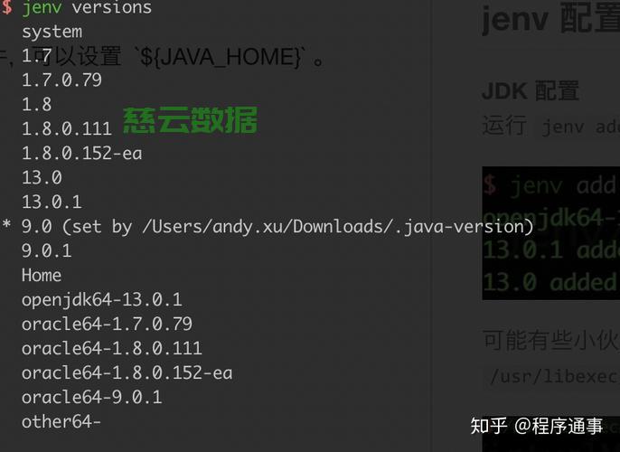 Java 的 JDK 多版本管理与常用命令（JEnv、SDKMAN、Jabba） - 技术分享 - 云服务器