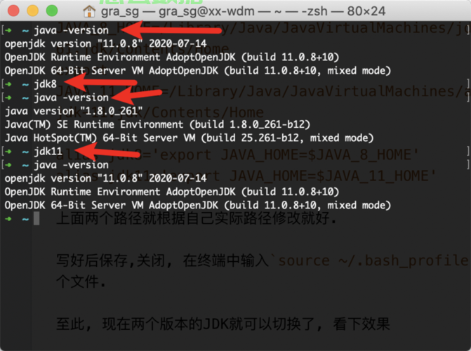 Java JDK11 在Mac上的安装和配置以及JDK多个版本之间切换 - 技术分享 - 云服务器