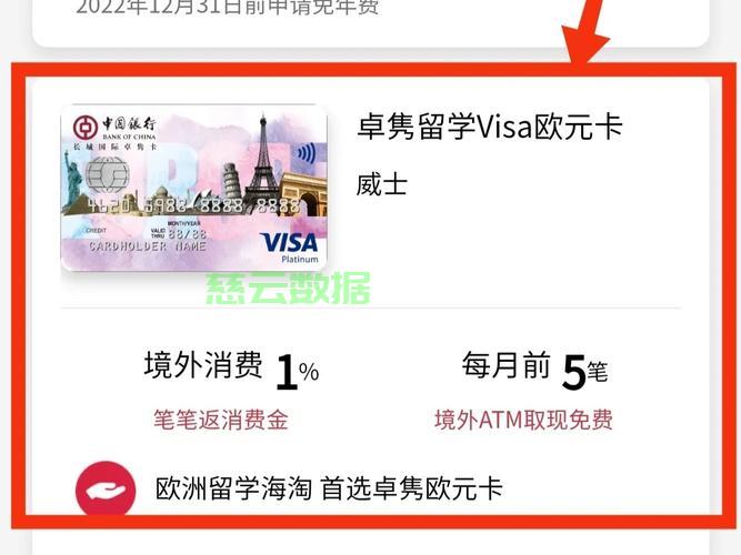 学生Visa卡申请全攻略，轻松掌握申请流程，快速开启你的国际支付之旅！ - 其他地区VPS - 云服务器