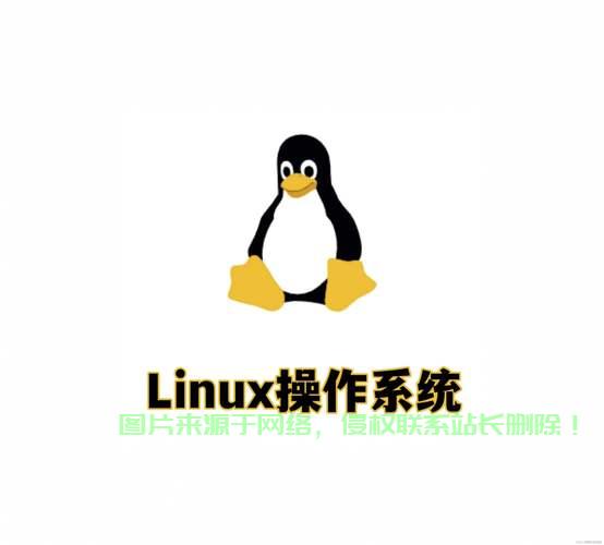 揭秘Linux之父的定义，开源自由之核心价值 - 技术分享 - 云服务器